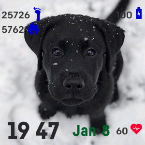 Black Beautifull Puppy par Clocks by Sabin | Applications partenaires ...