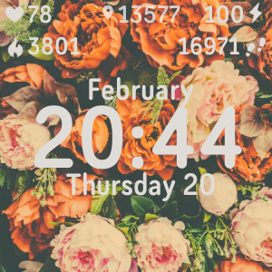 Orange Roses by Clock Studio Co. | Fitbit App Gallery