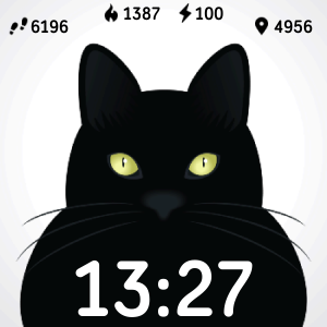 Black Cat by TopClockFaces | Fitbit App Gallery
