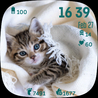 Cute Cat by Dana's Clockfaces | Fitbit App Gallery