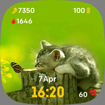 Cute cat and butterfly dari Alexander | Galeri Aplikasi Fitbit