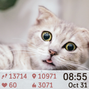 Cat by TopClockFaces | Fitbit App Gallery