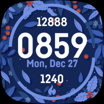 Christmas Frozen Nature by TopClockFaces | Fitbit App Gallery