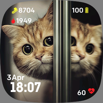 Double cat by Alexander | Fitbit App Gallery
