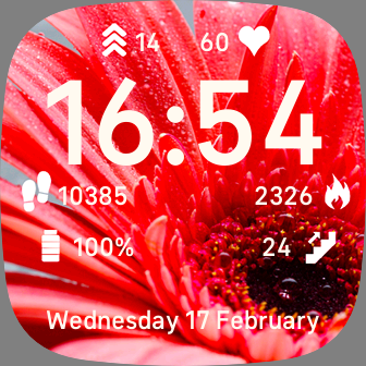 Gerbera Flower 由 ContempWF | Fitbit 应用程序库