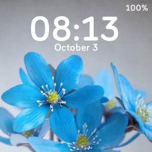 Blue Flowers von TopClockFaces | Fitbit-App-Galerie