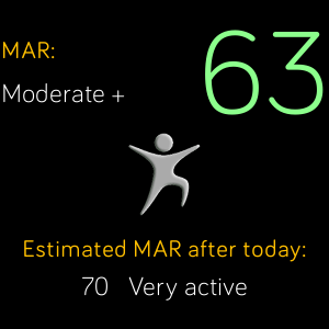 MAR - Mean Activity Ratio von deiG | Fitbit-App-Galerie