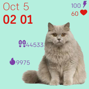 Fat grey cat by Richard Iulius | Fitbit App Gallery