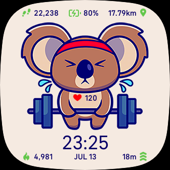 Koala Gym by Trusty Coder | Fitbit App Gallery